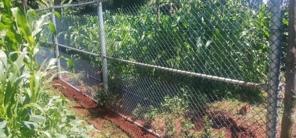 Shamba wire products - Wireprod